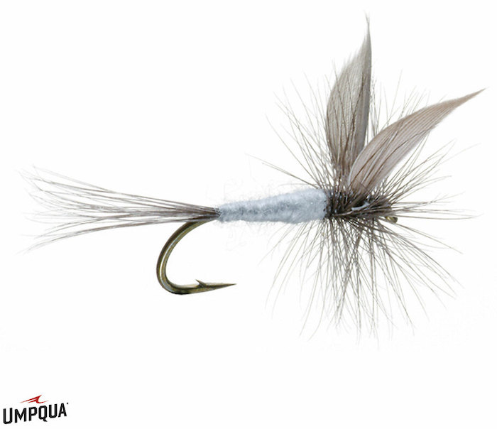 Blue Dun - ReelFlyRod