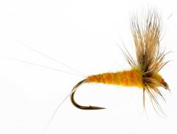 Best Flies / Fly Selections for Every Species 2021 : ReelFlyRod