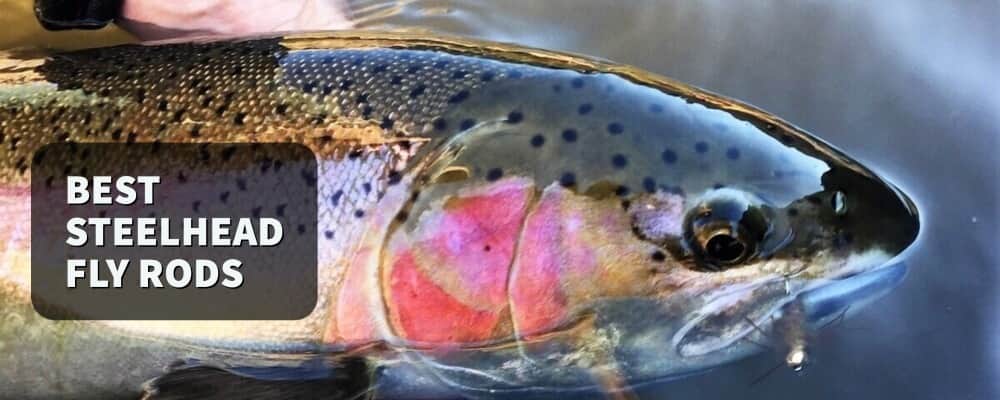 Best Fly Rods for Steelhead 2022 - ReelFlyRod